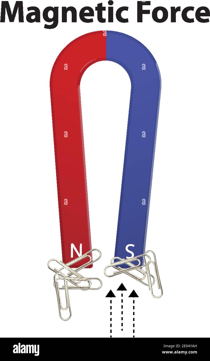 Magnetic Force horseshoes pick paper clips up on white background ...