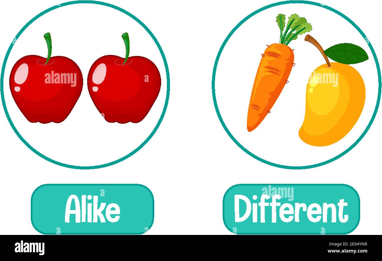 Opposite words with alike and different illustration Stock Vector Image ...