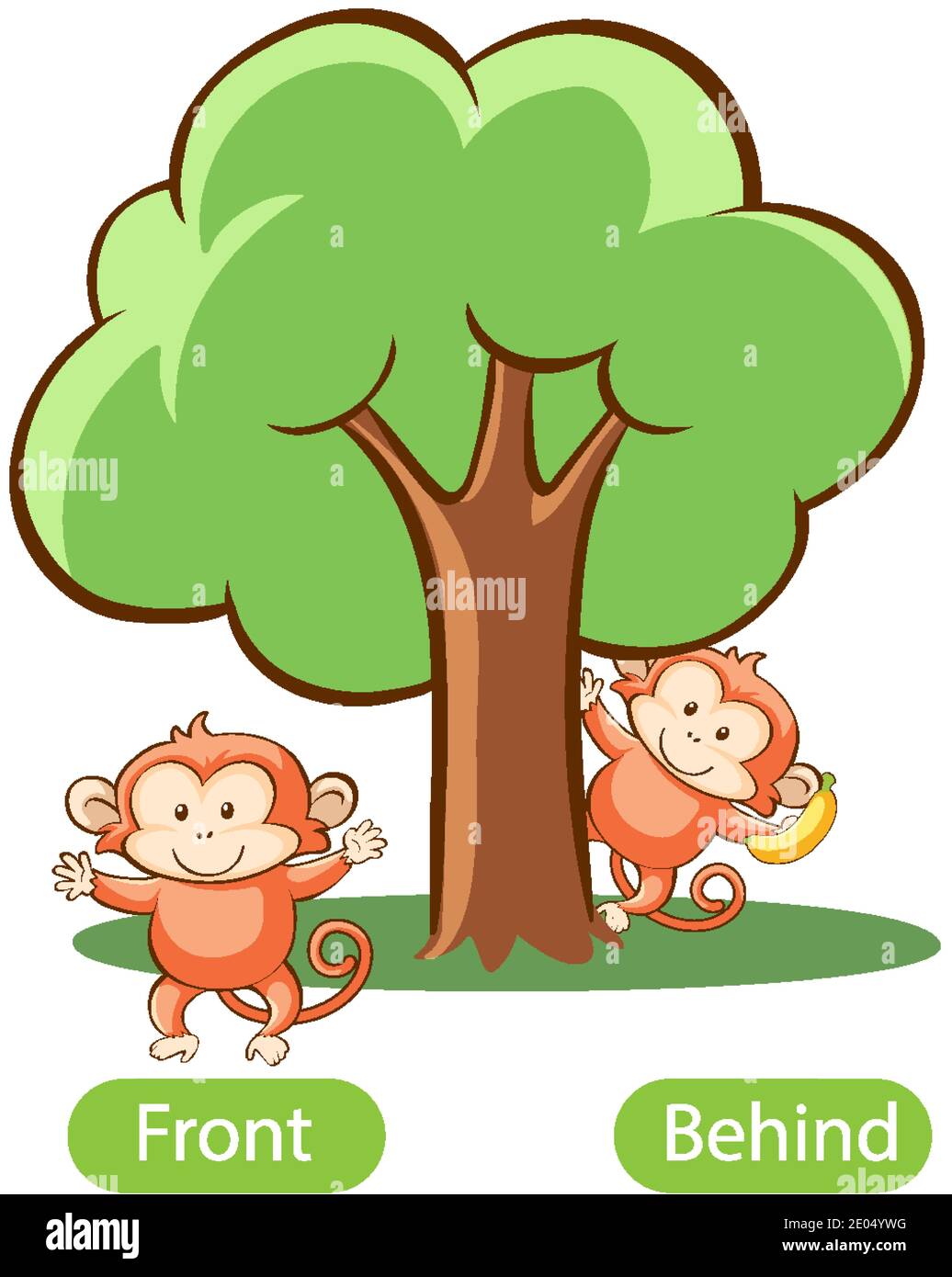 Opposite words with front and behind illustration Stock Vector Image ...