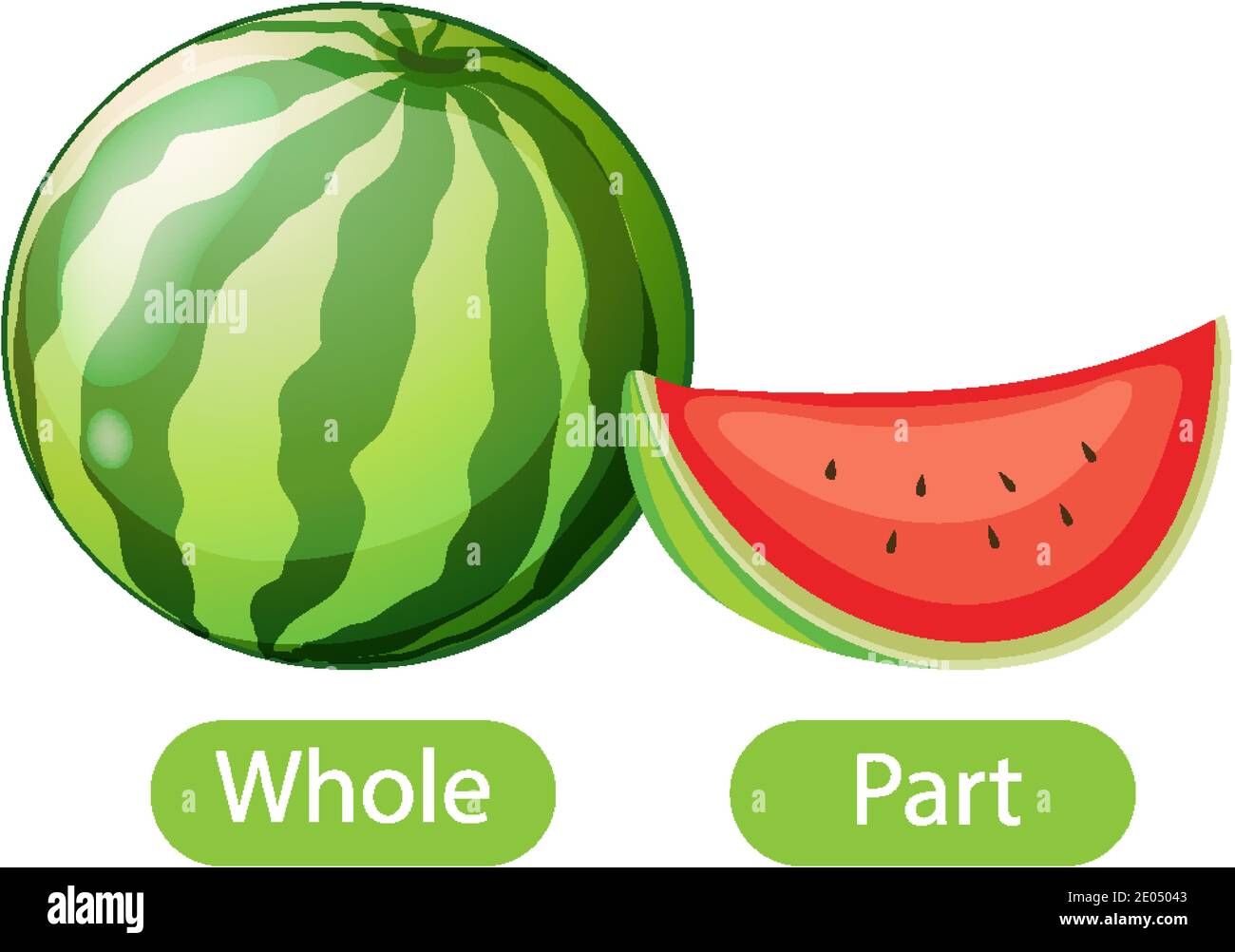 Opposite words with whole and part illustration Stock Vector Image ...