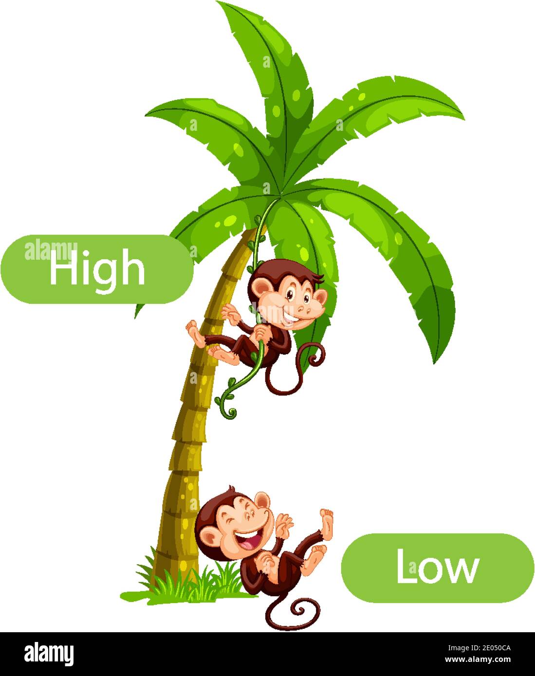 Opposite words with low and high illustration Stock Vector Image & Art ...