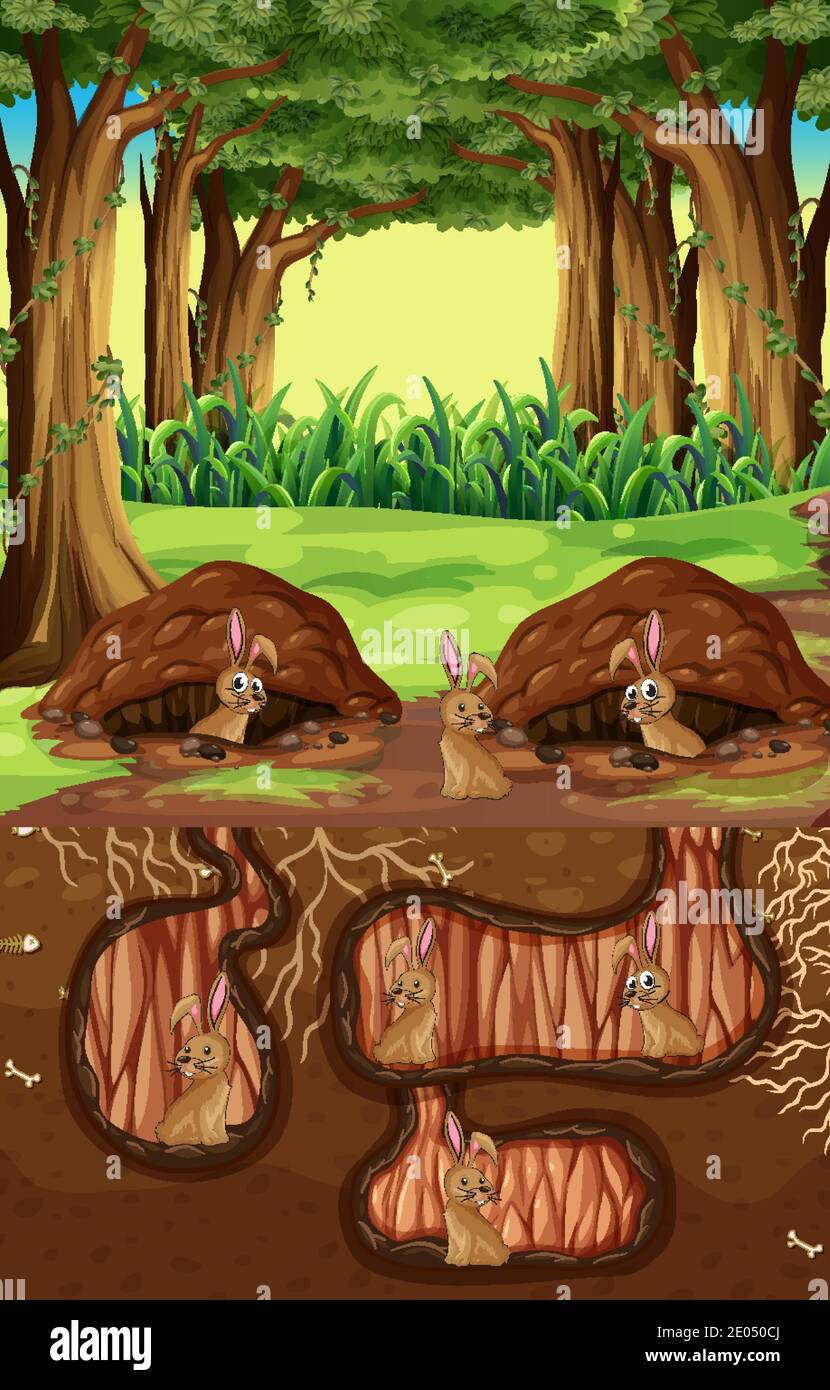Underground animal hole with many brown rabbits illustration Stock ...