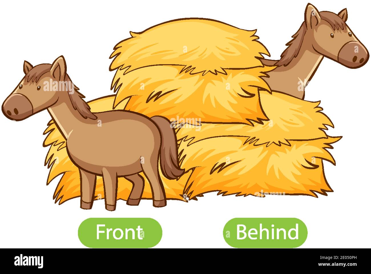 Opposite words with front and behind illustration Stock Vector Image ...