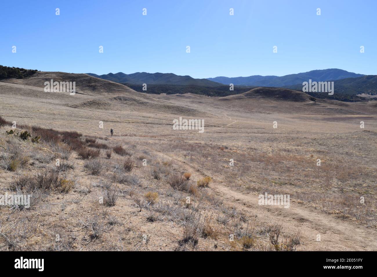 Hiker walking along a section of the Pacific Crest Trail near Warner ...