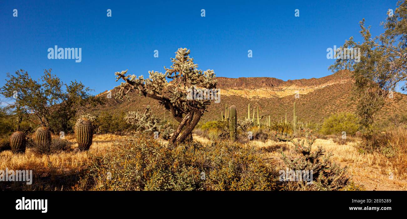 A panoramic desert landscape at the Phoenix Sonoran Preserve in Arizona ...