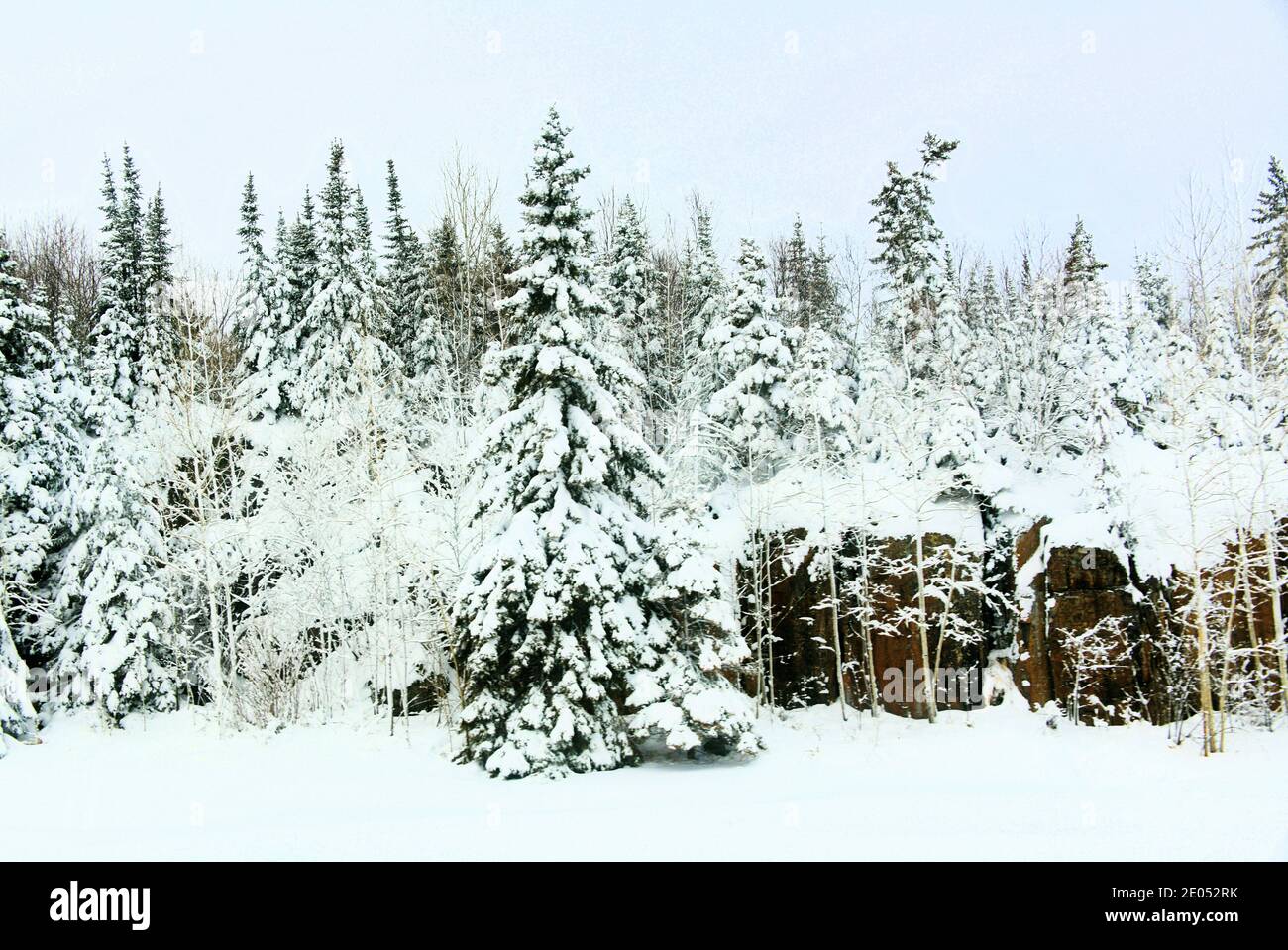 A rock cut and trees covered with snow alongside a highway, make a ...