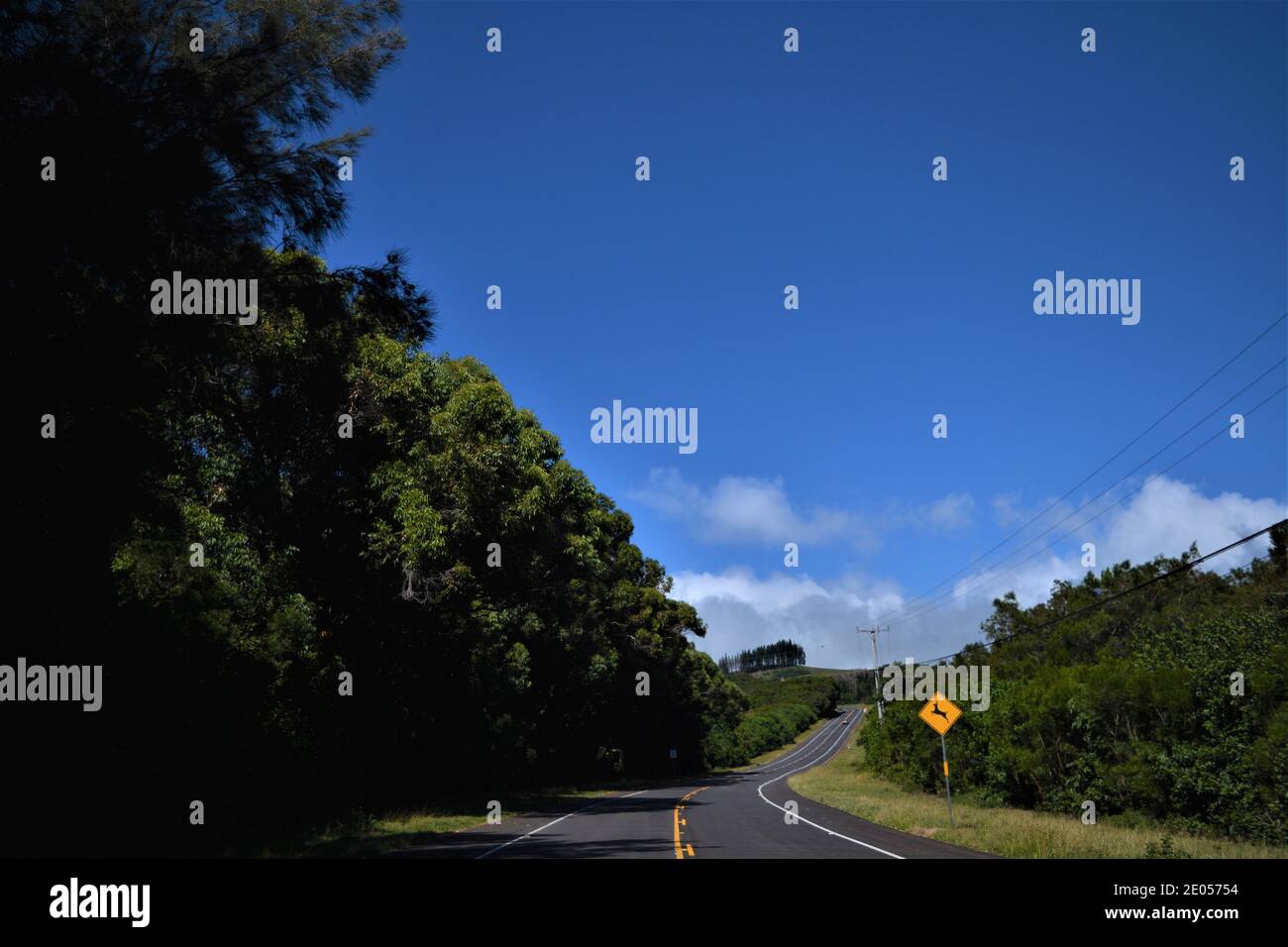 Road on Moloka'i Island Stock Photo - Alamy