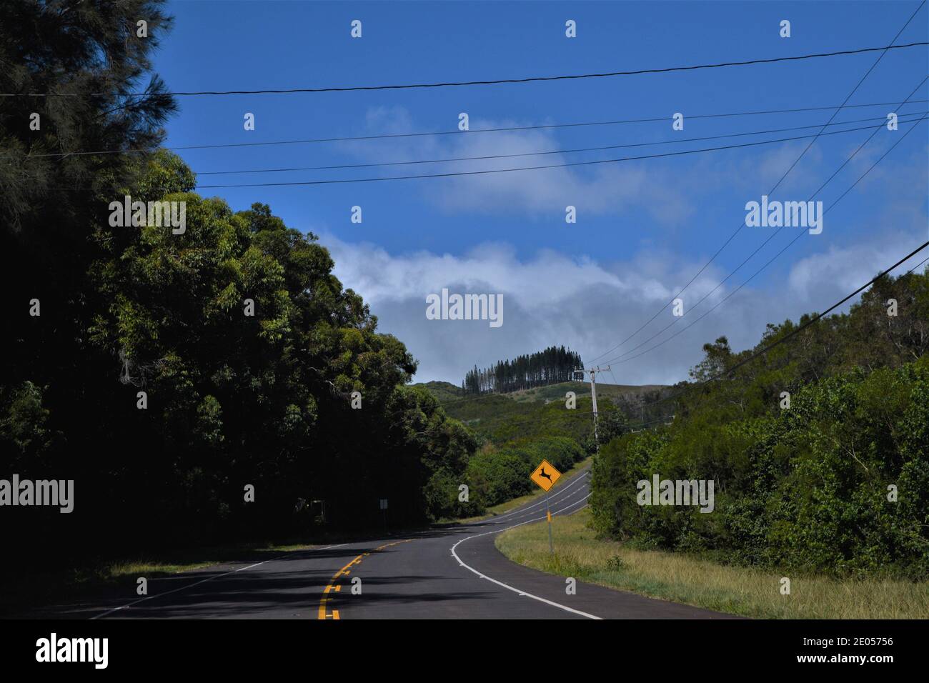 Road on Moloka'i Island Stock Photo - Alamy