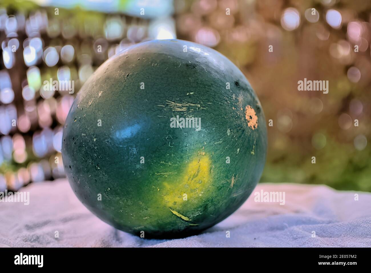 watermelon, green ripe, from organic cultivation Stock Photo - Alamy