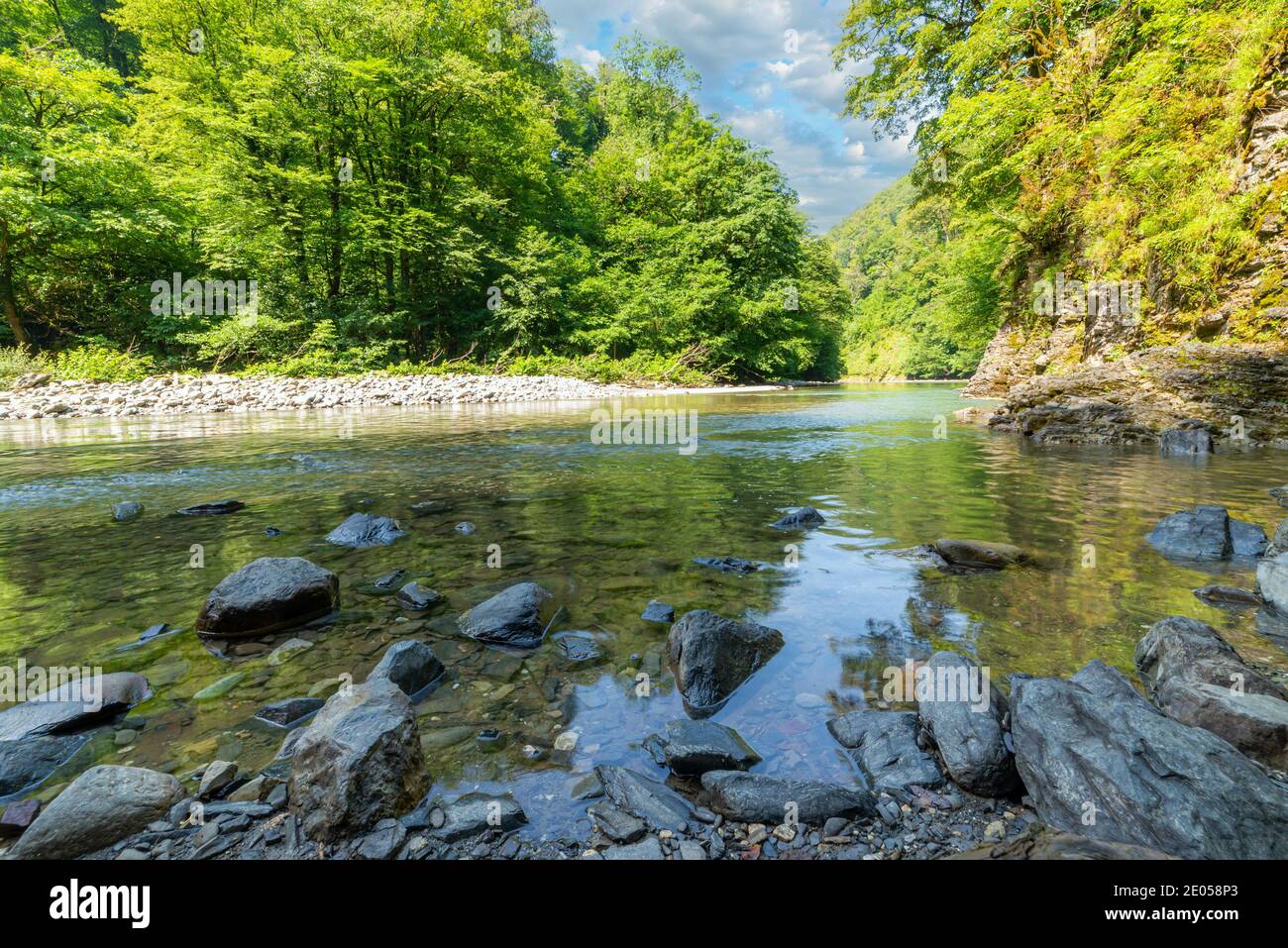 Clear river rocks forest hi-res stock photography and images - Alamy