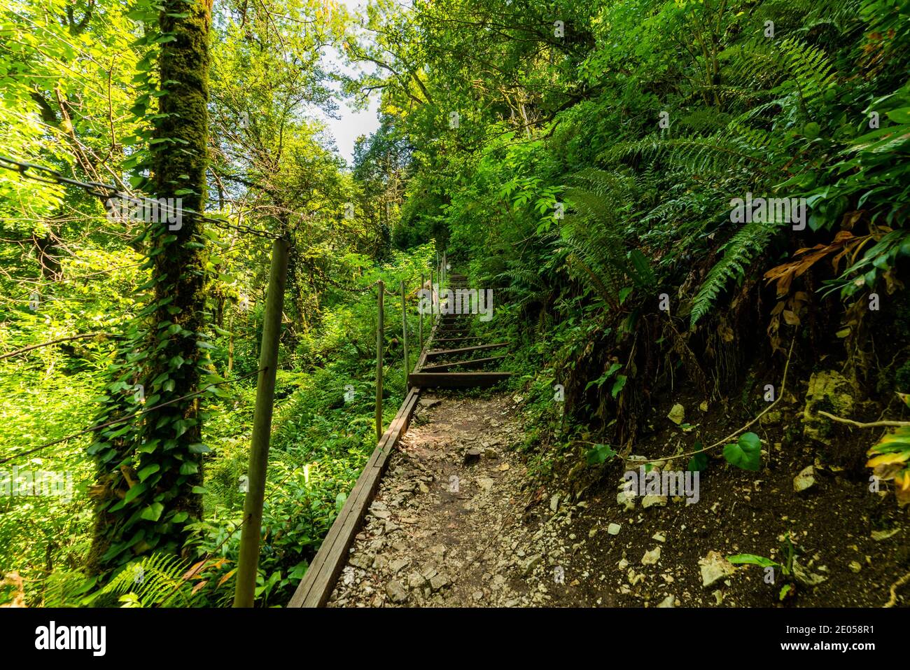 Hiking trail in National Park. Concept of ecotourism for young Stock ...
