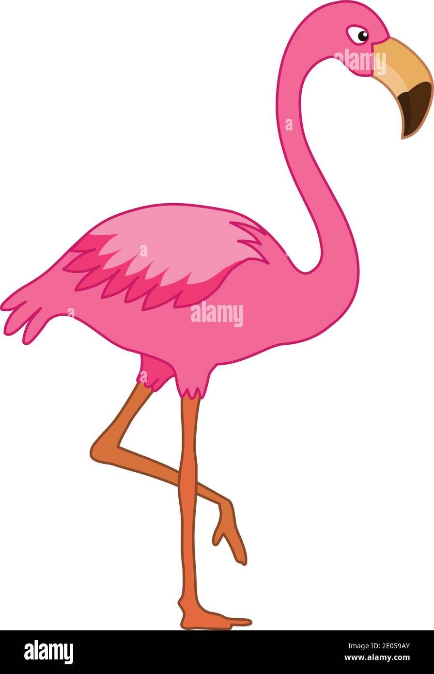 Vector illustration of flamingo Stock Vector Image & Art - Alamy
