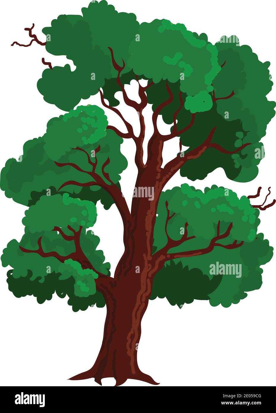 Realistic vector tree with leaves. Plant with green foliage. Forest ...