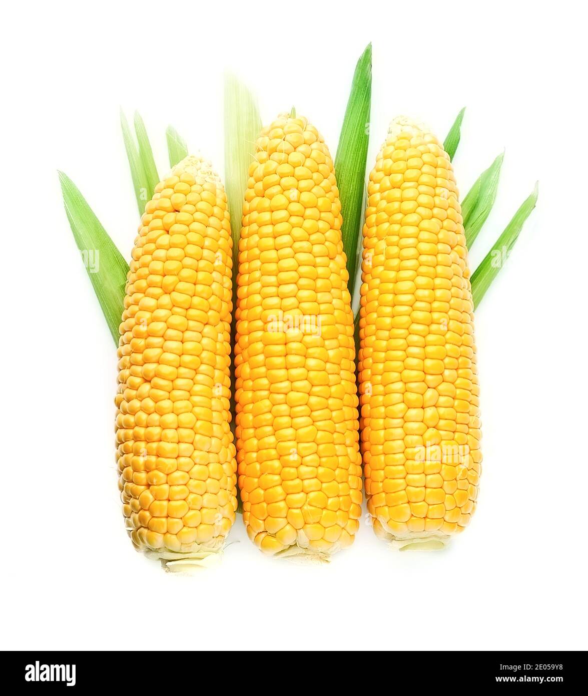 An ear of corn isolated on a white background Stock Photo - Alamy