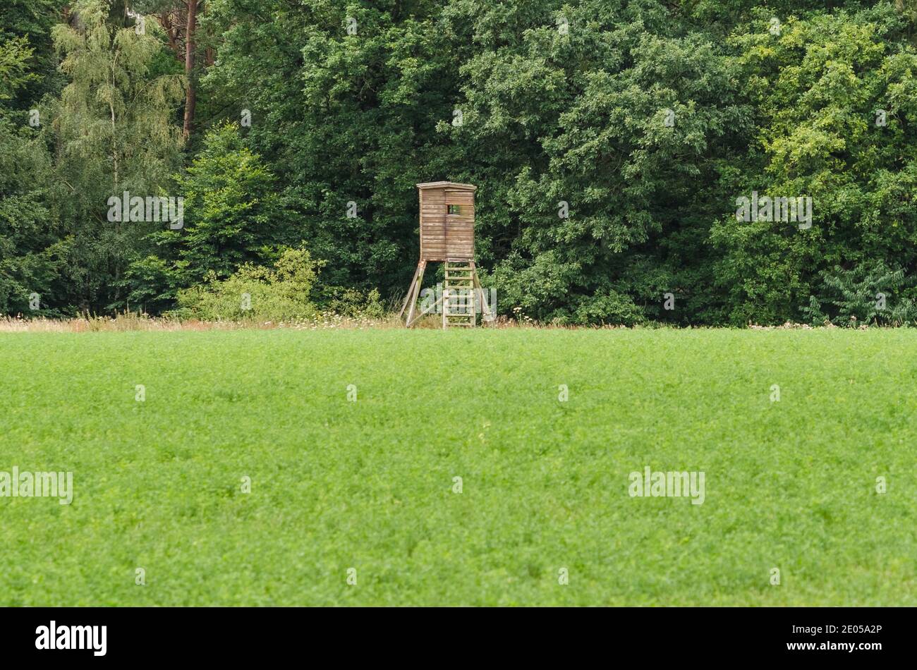 Wooden raised hide for hunting and observation of wildlife near a ...