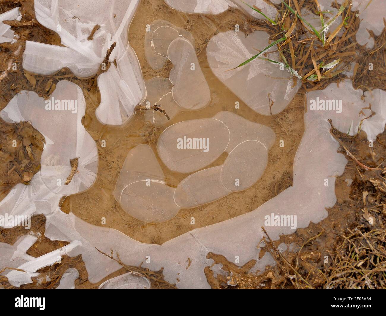 small puddle with ice Stock Photo - Alamy