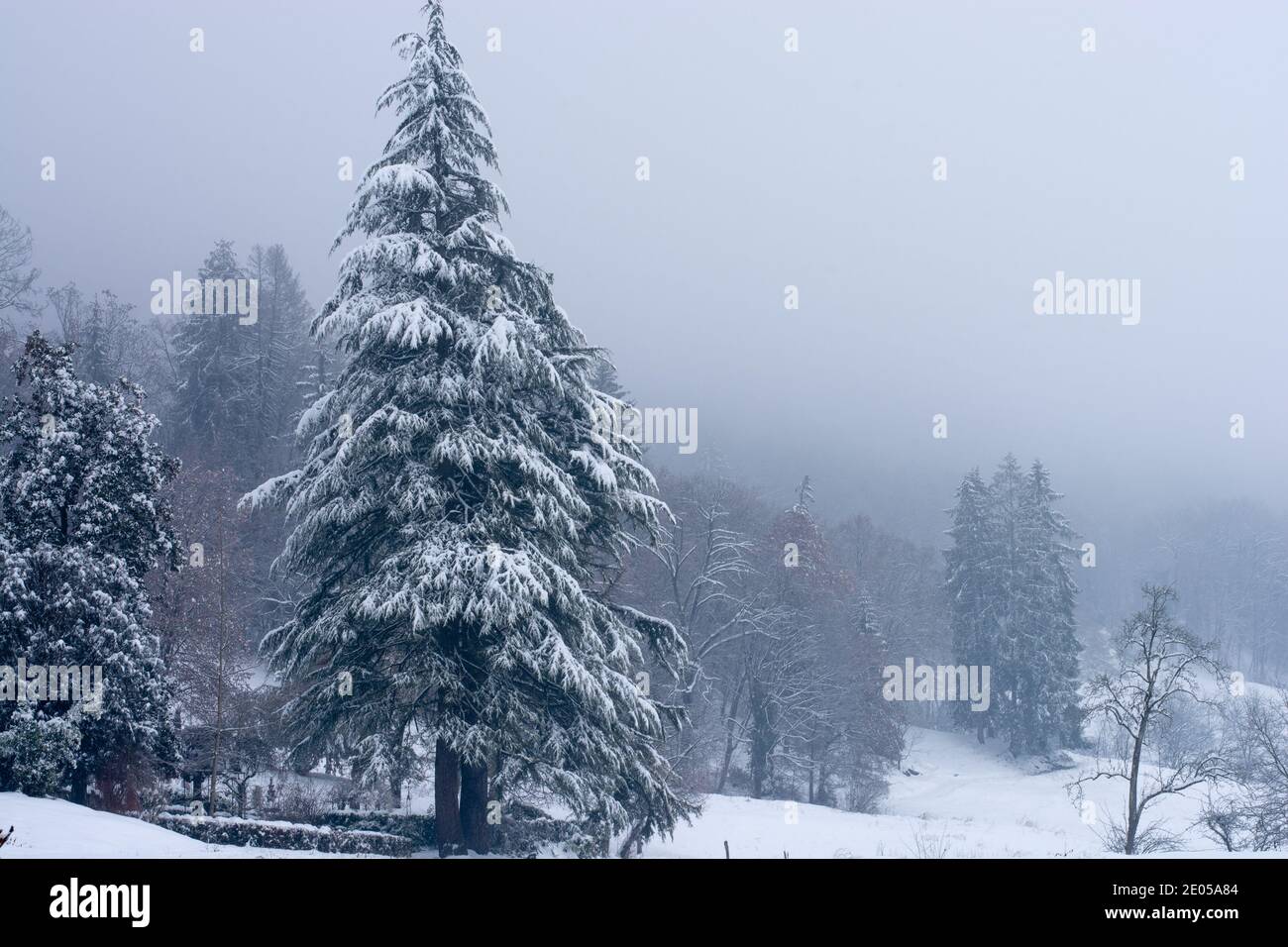 fog and snow in the mountains Stock Photo - Alamy