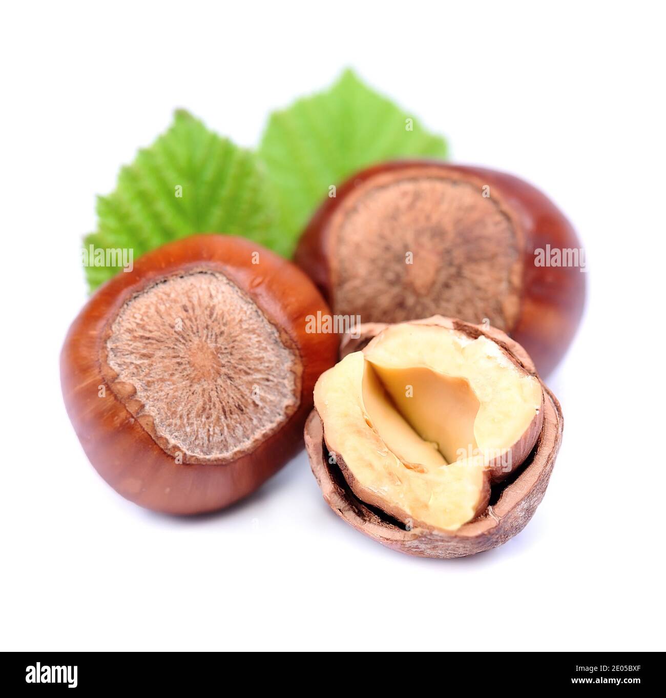 Filbert nuts with leaf on white background Stock Photo - Alamy
