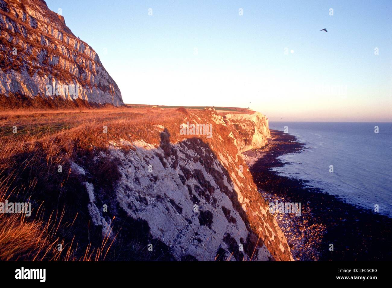 Great Britain /Kent/ Dover / Beach and Cliff Stock Photo - Alamy