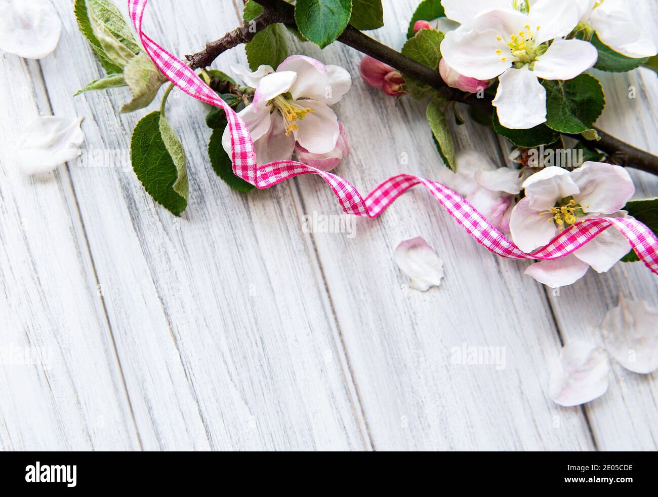 Spring border background with beautiful white flowering branches. White ...
