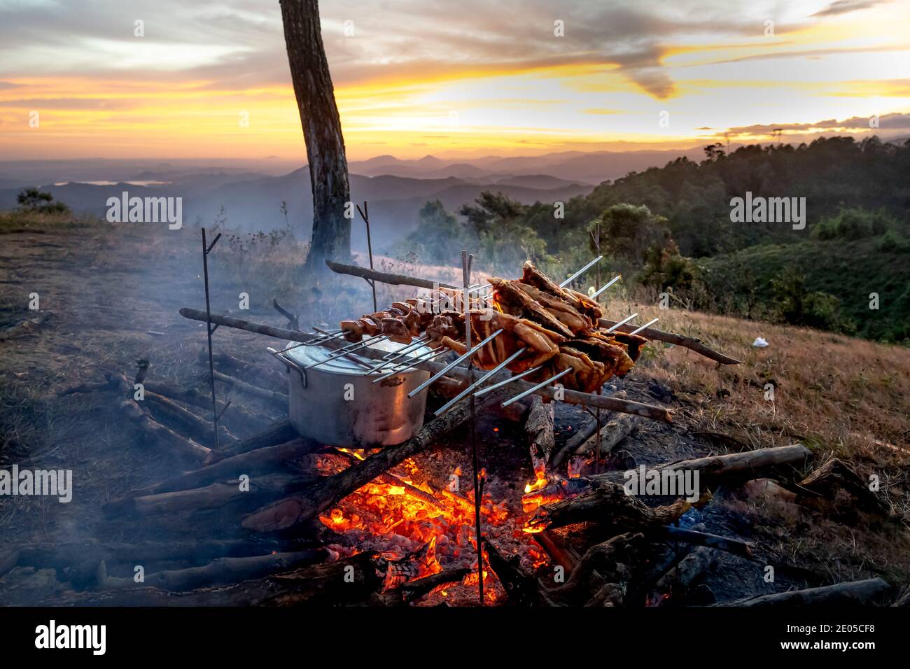 Roast chicken on a campfire Stock Photo - Alamy