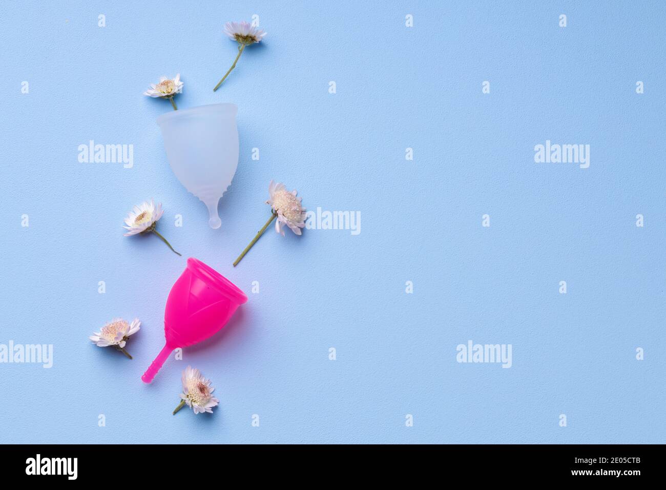 Menstrual cup with flowers on blue background Stock Photo - Alamy