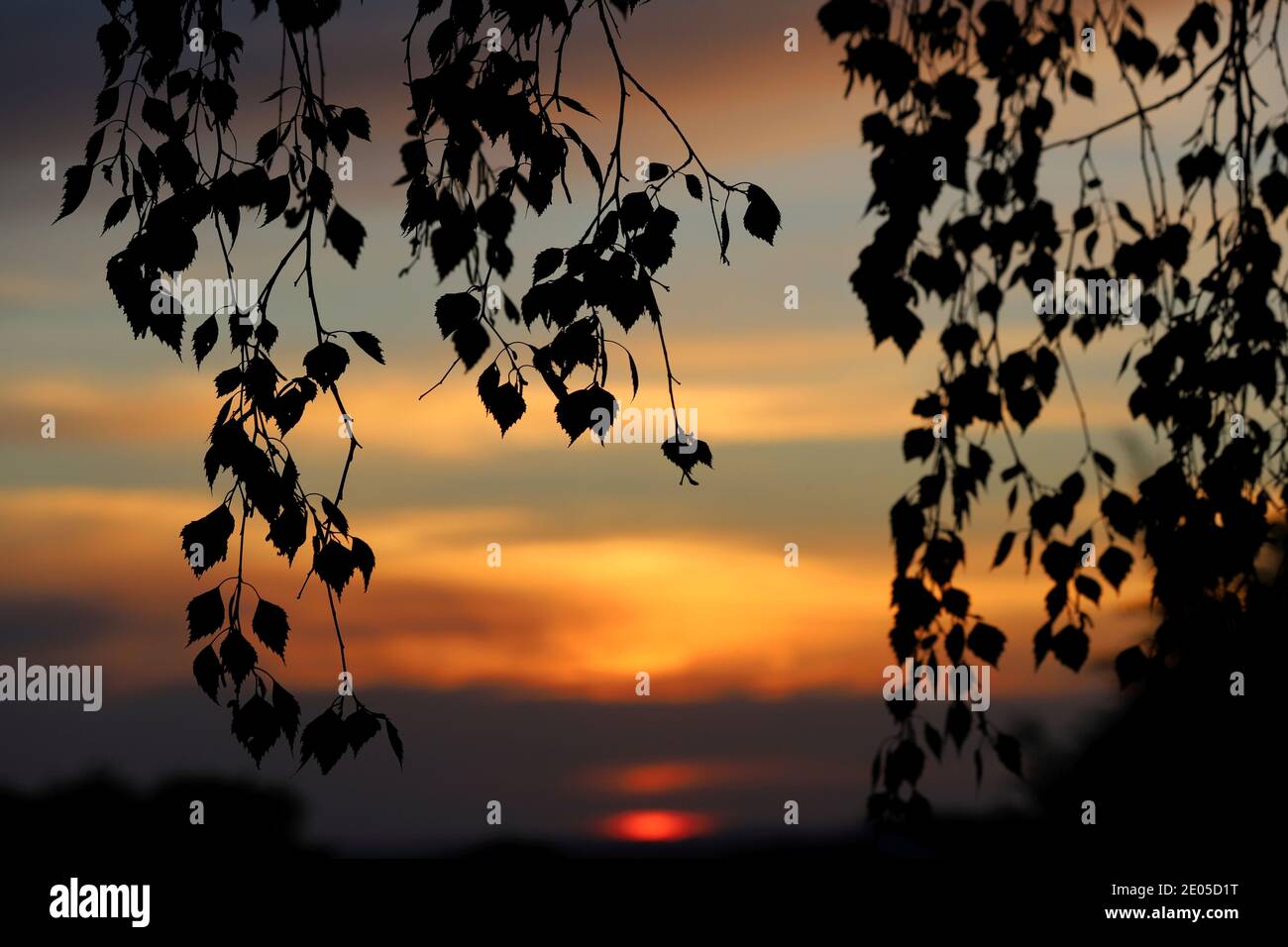 Golden summer evenings hi-res stock photography and images - Alamy