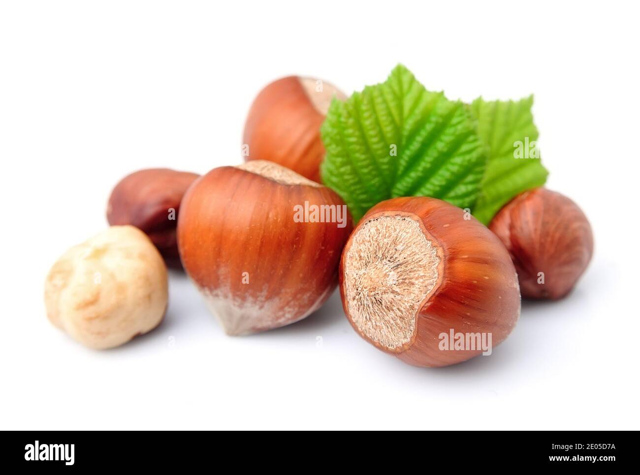 Filbert nuts with leaf on white background Stock Photo - Alamy