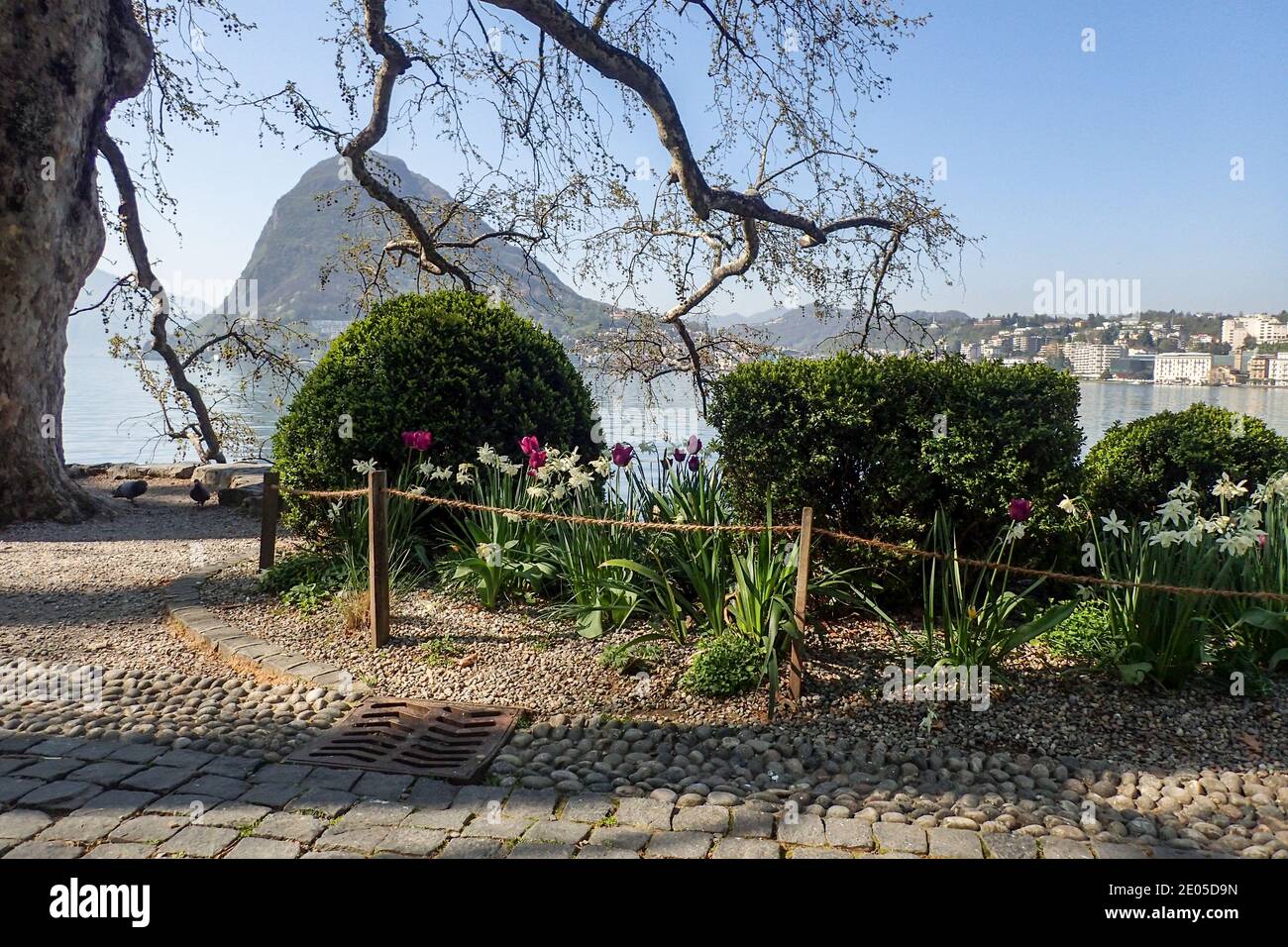 Lugano, switzerland: Parco Ciani, a city park by the lake Stock Photo ...