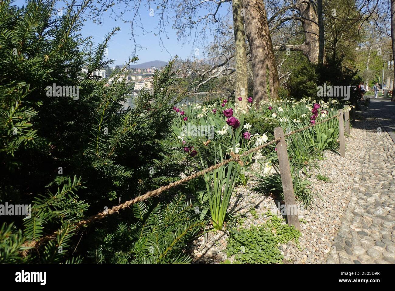 Lugano, switzerland: Parco Ciani, a city park by the lake Stock Photo ...