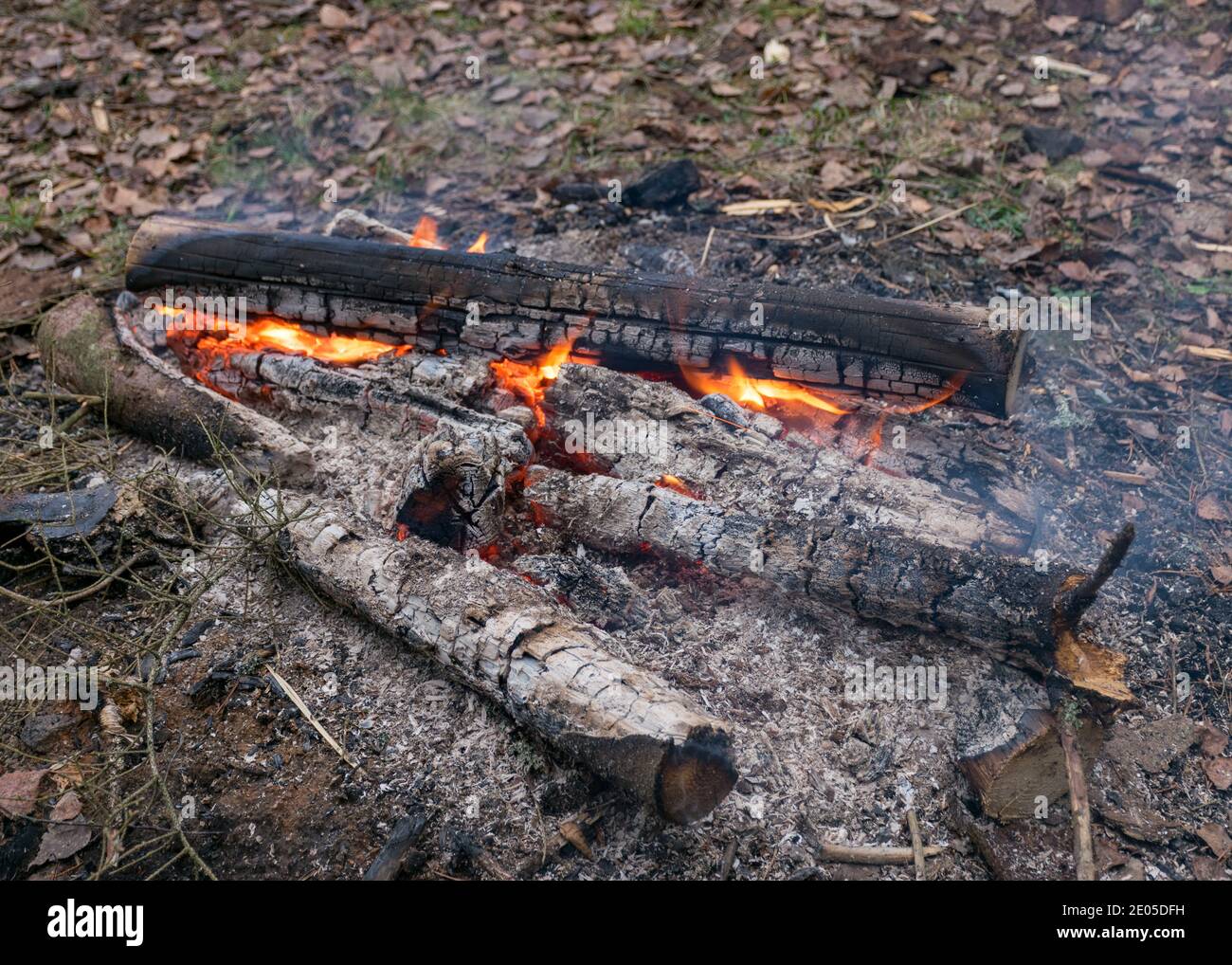 landscape with a burning campfire on the lake shore, glowing wooden ...