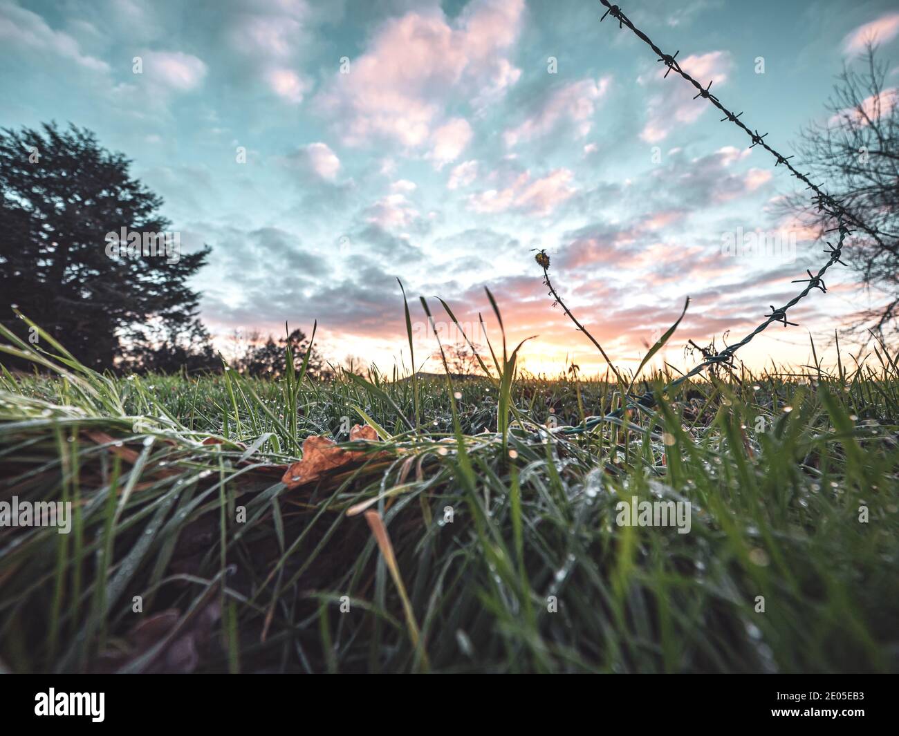 Cold winter morning dew on grass hi-res stock photography and images ...