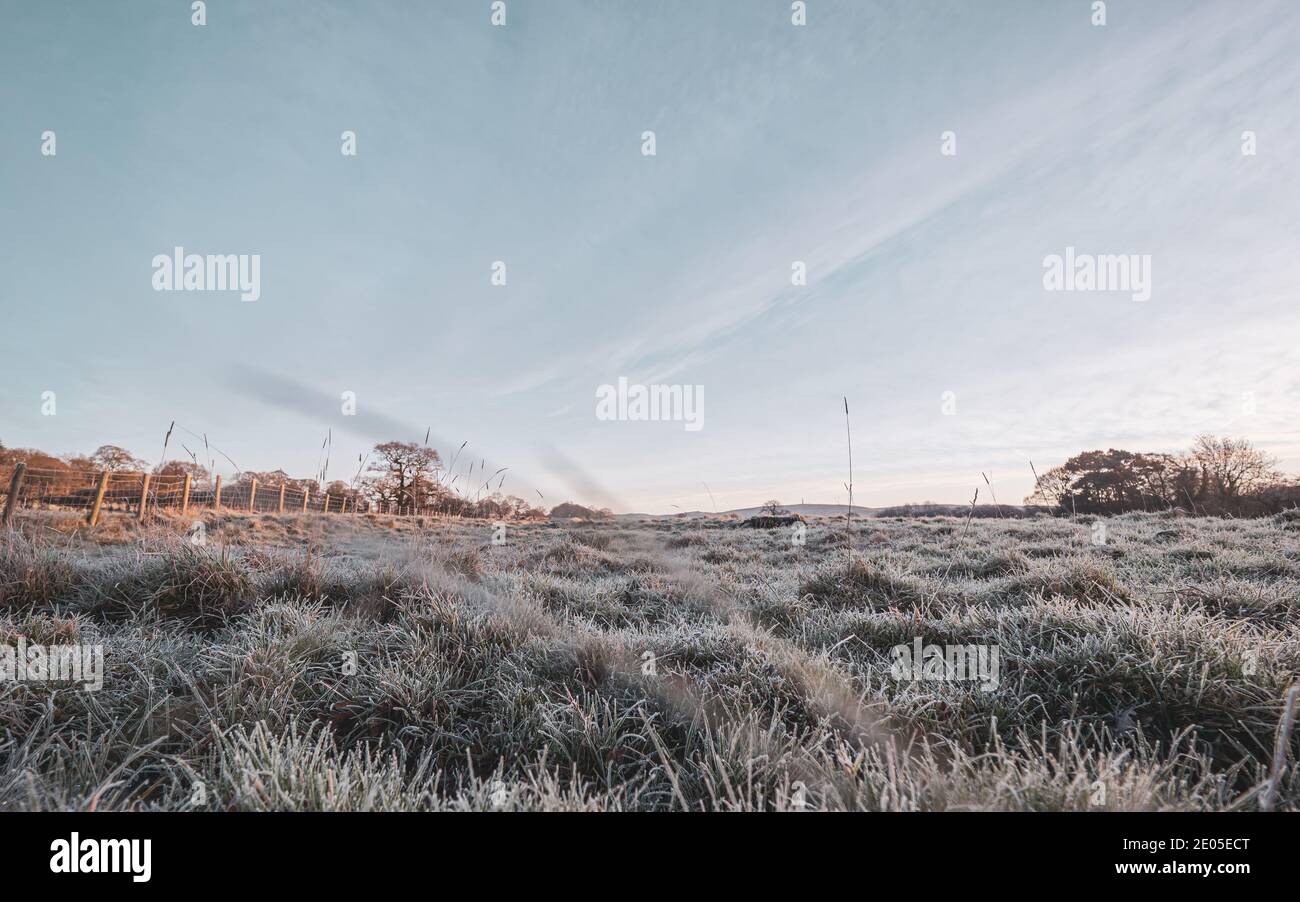 Frozen grass field winter cold temperature hi-res stock photography and ...