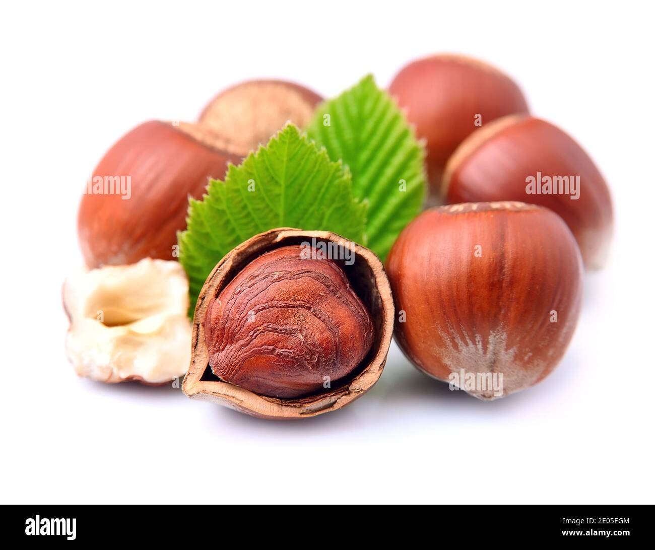 Filbert nuts with leaf on white background Stock Photo - Alamy