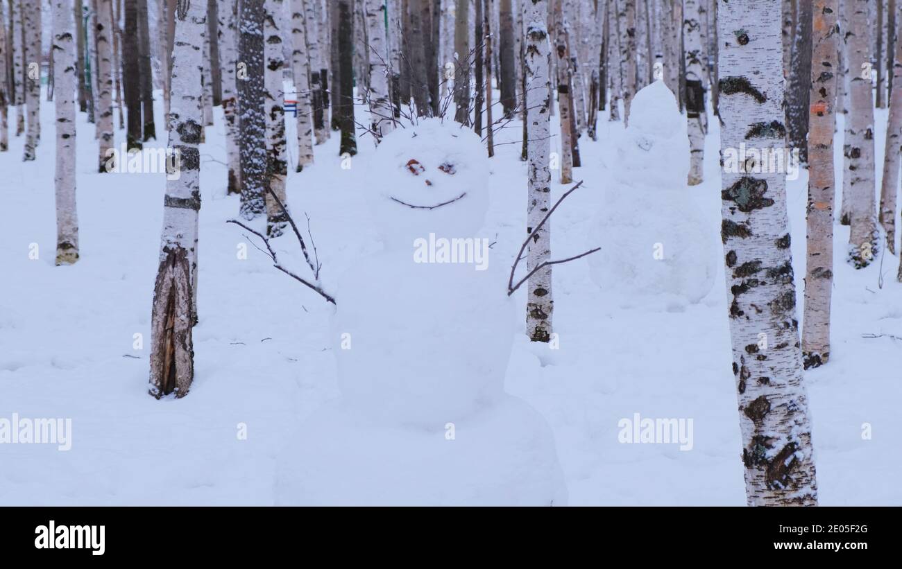 Real snowballs hi-res stock photography and images - Alamy