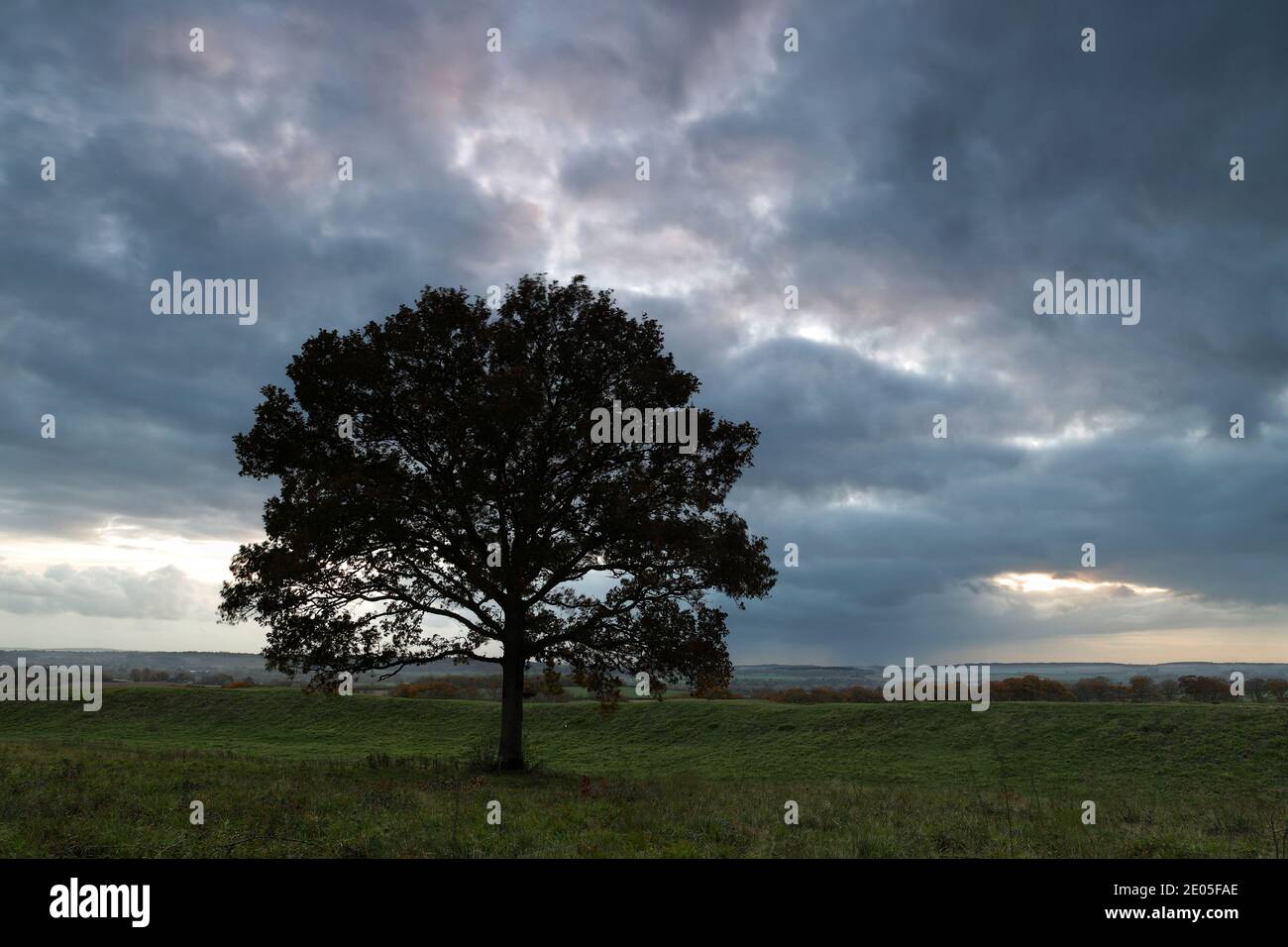 Tree filled landscape hi-res stock photography and images - Alamy