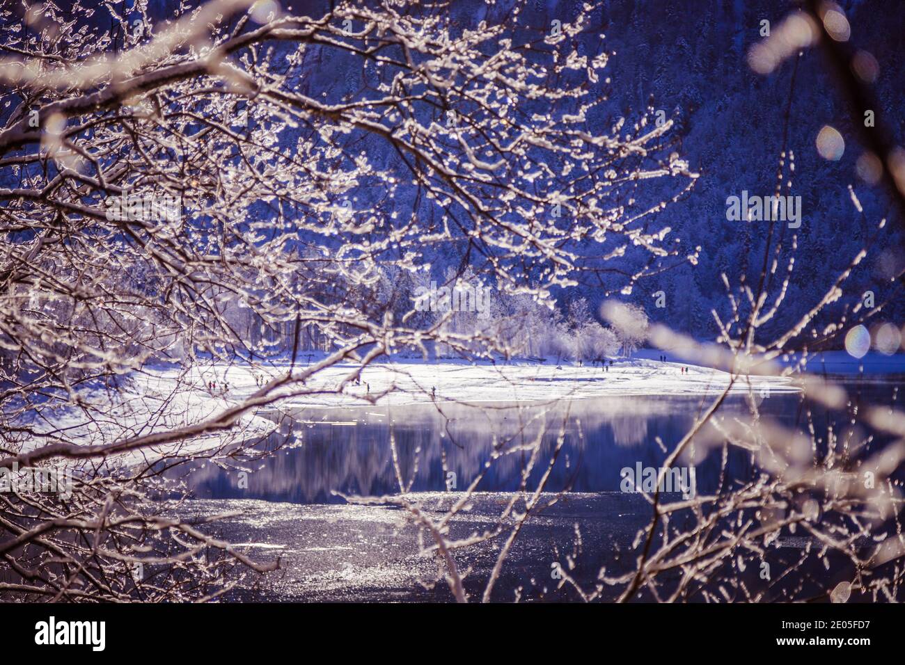 Idyllic winter landscape: Reflection lake, snowy trees and mountains ...