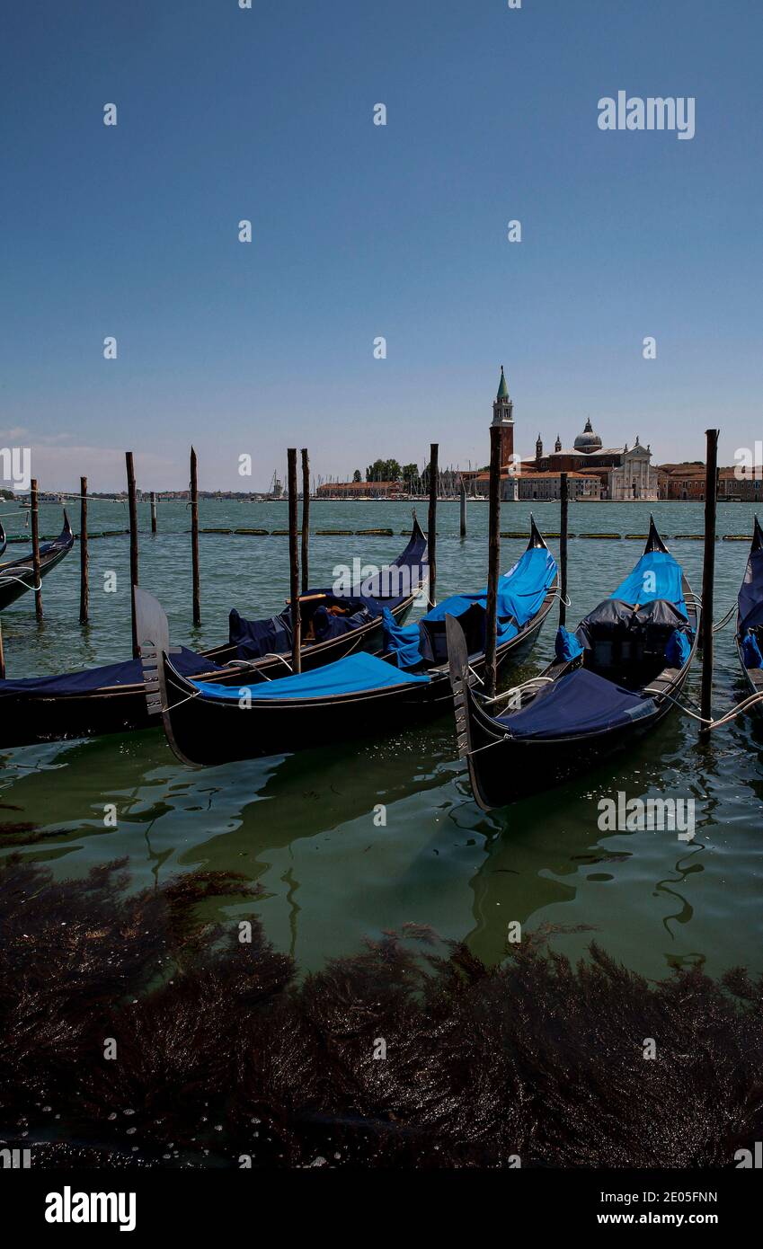 Marco algae hi-res stock photography and images - Alamy