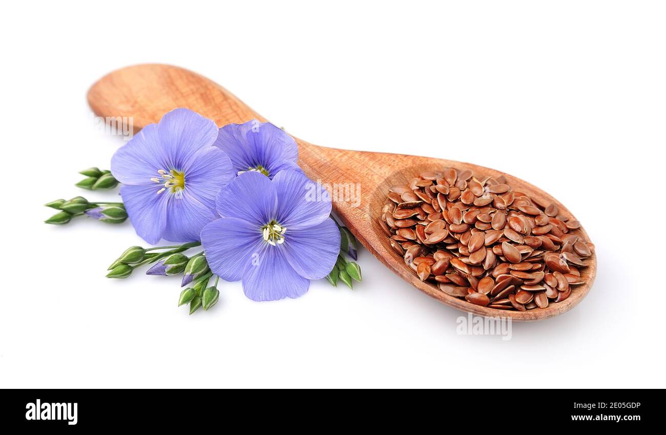 Flax seed and flowers flax close up on white Stock Photo - Alamy
