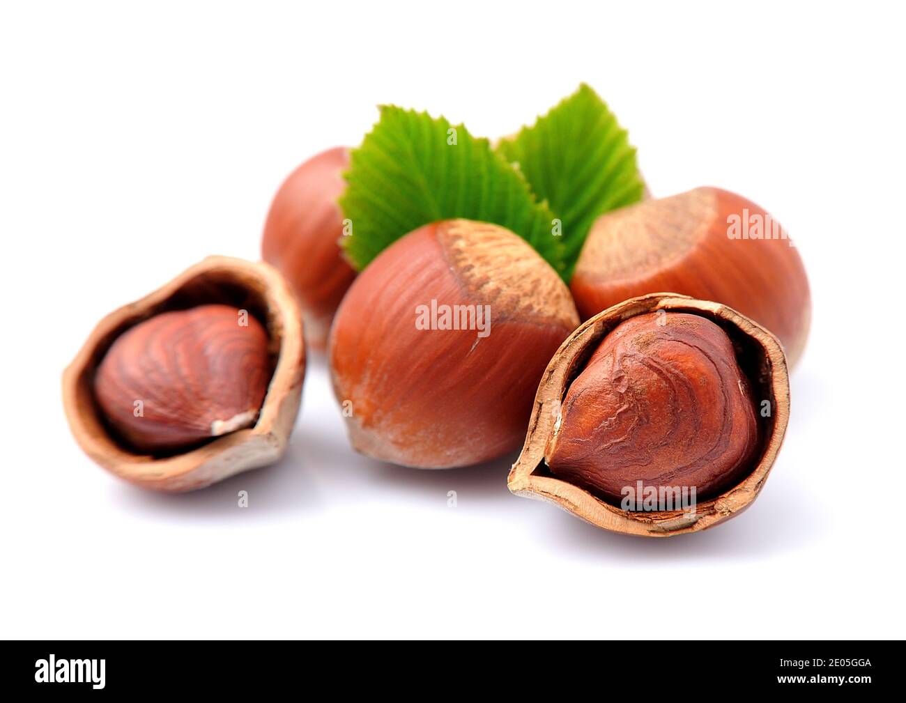 Filbert nuts with leaves close up on white Stock Photo - Alamy