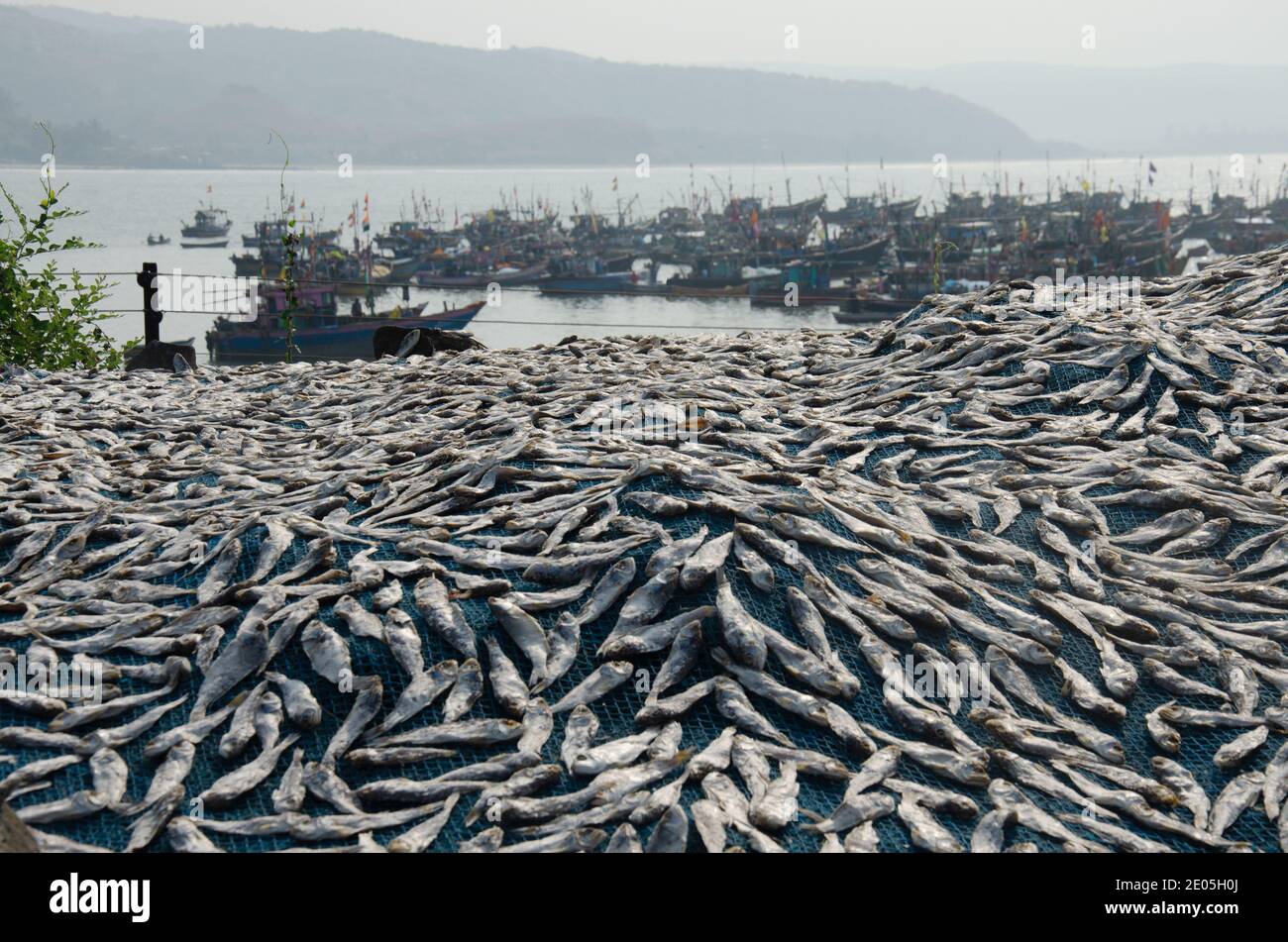 Dried sea salt beach hi-res stock photography and images - Alamy