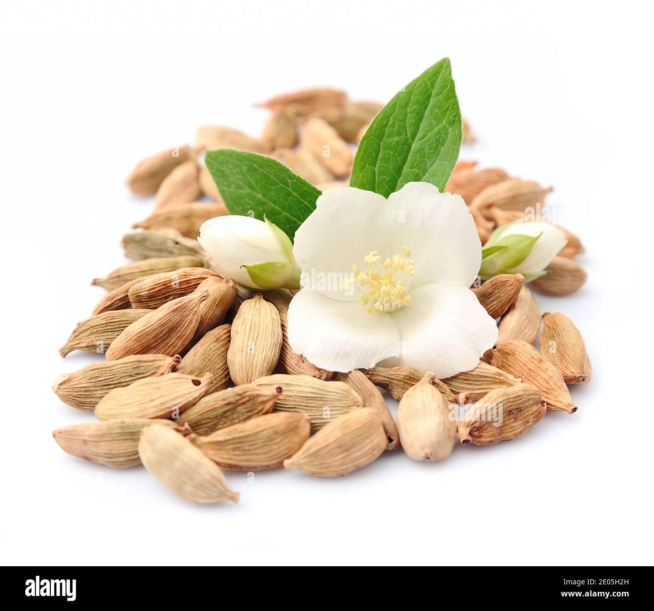 Cardamom pods with jasmin flowers isolated on white background Stock ...