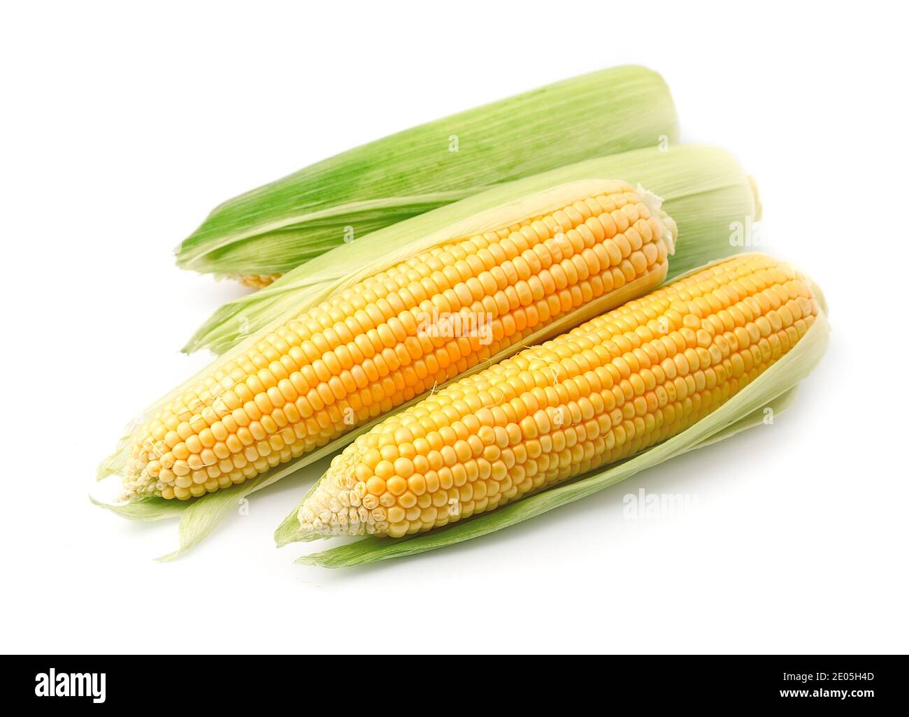 Fresh corn ear isolated on a white background Stock Photo - Alamy