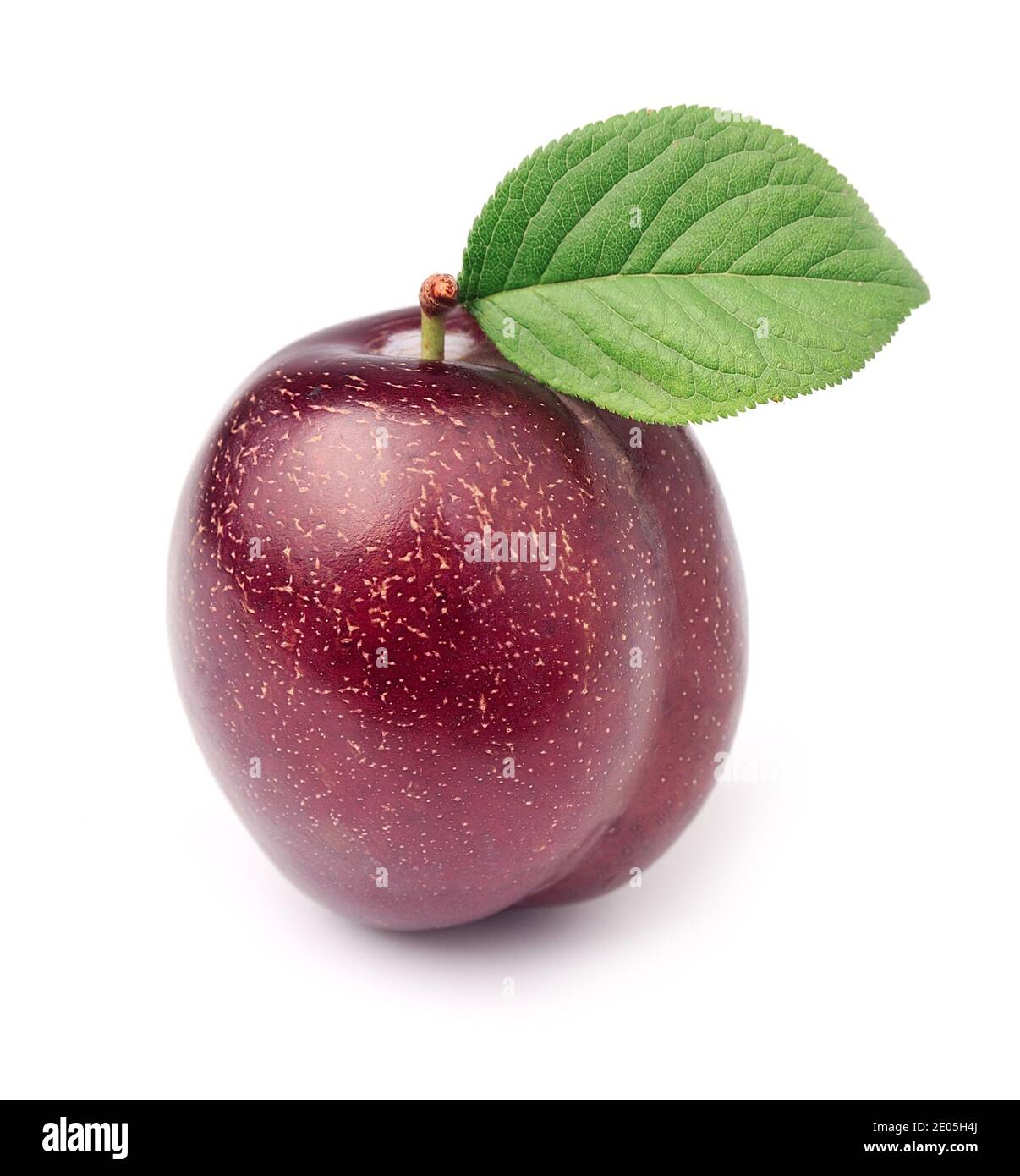 One plum with leaves close up on white background Stock Photo - Alamy
