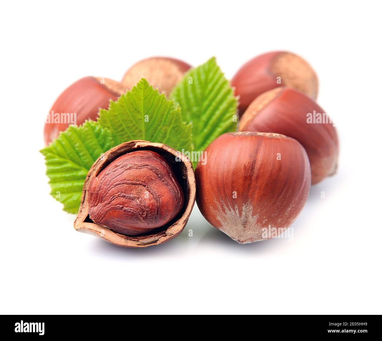 Filbert nuts with leaf on white background . Hazelnuts Stock Photo - Alamy
