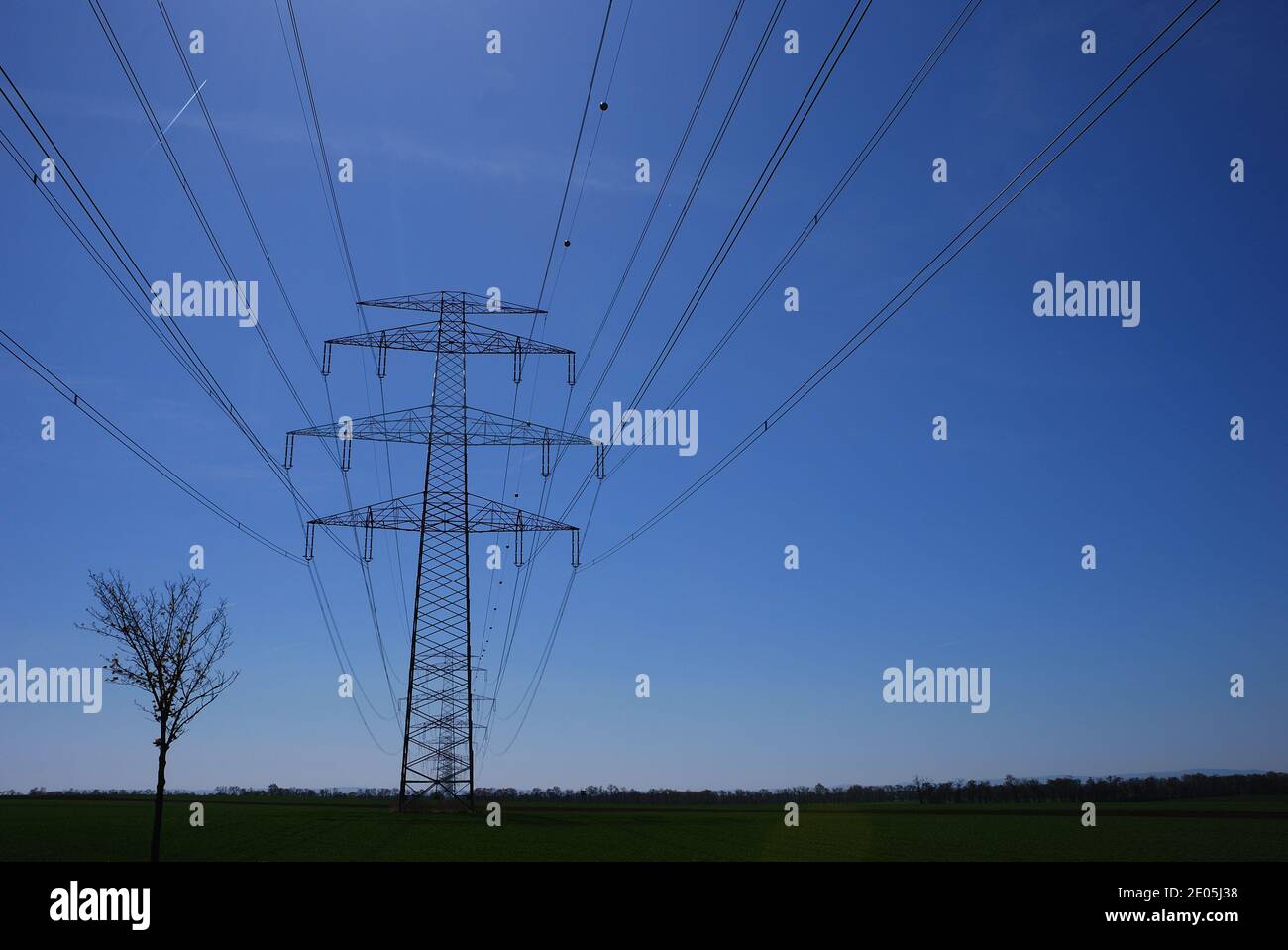 Red current tree hi-res stock photography and images - Alamy