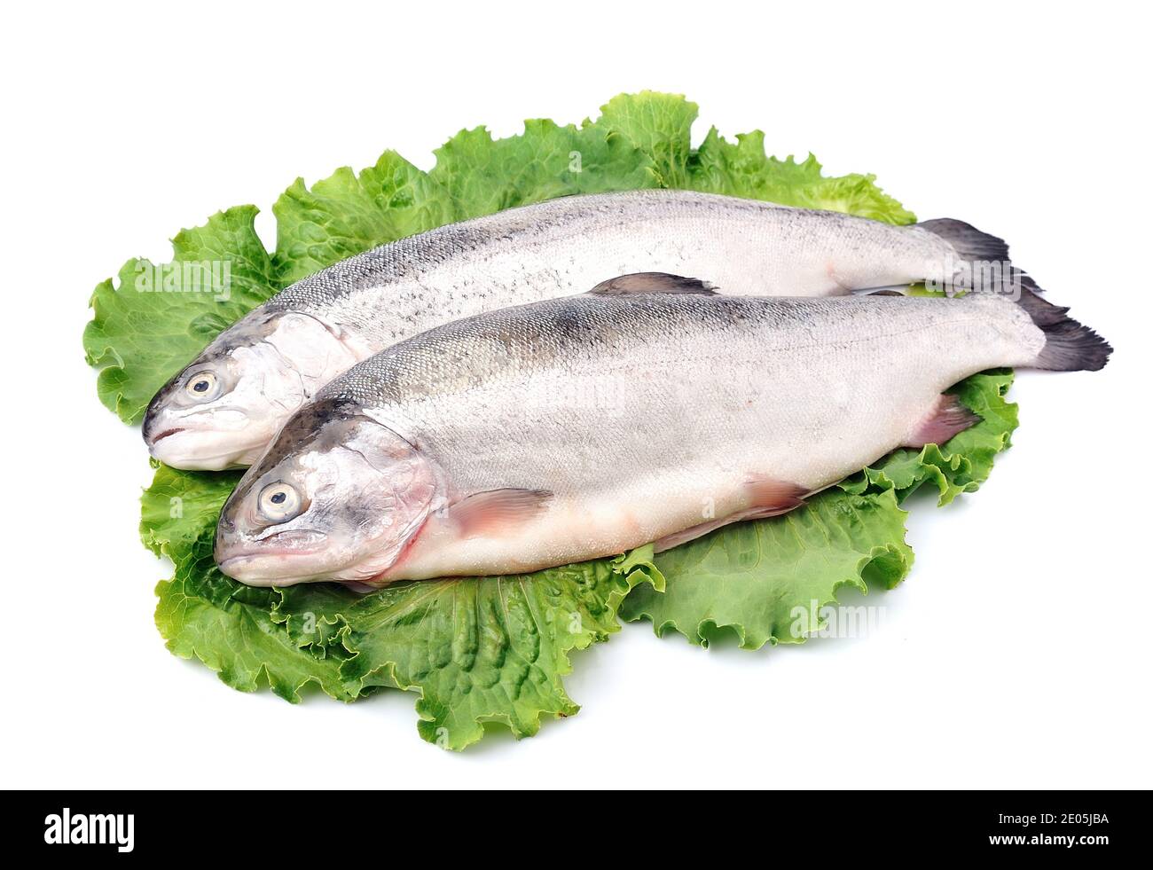 Fisherman trout fish on Cut Out Stock Images & Pictures - Alamy