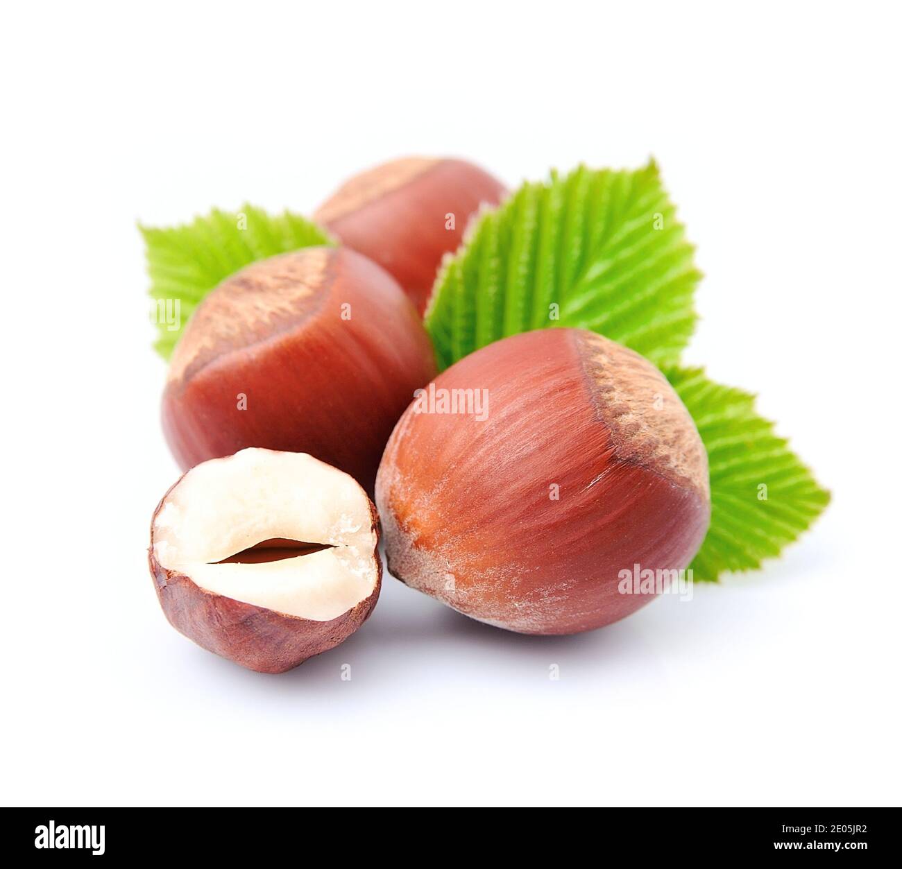 Filbert nuts with leaf on white background Stock Photo - Alamy