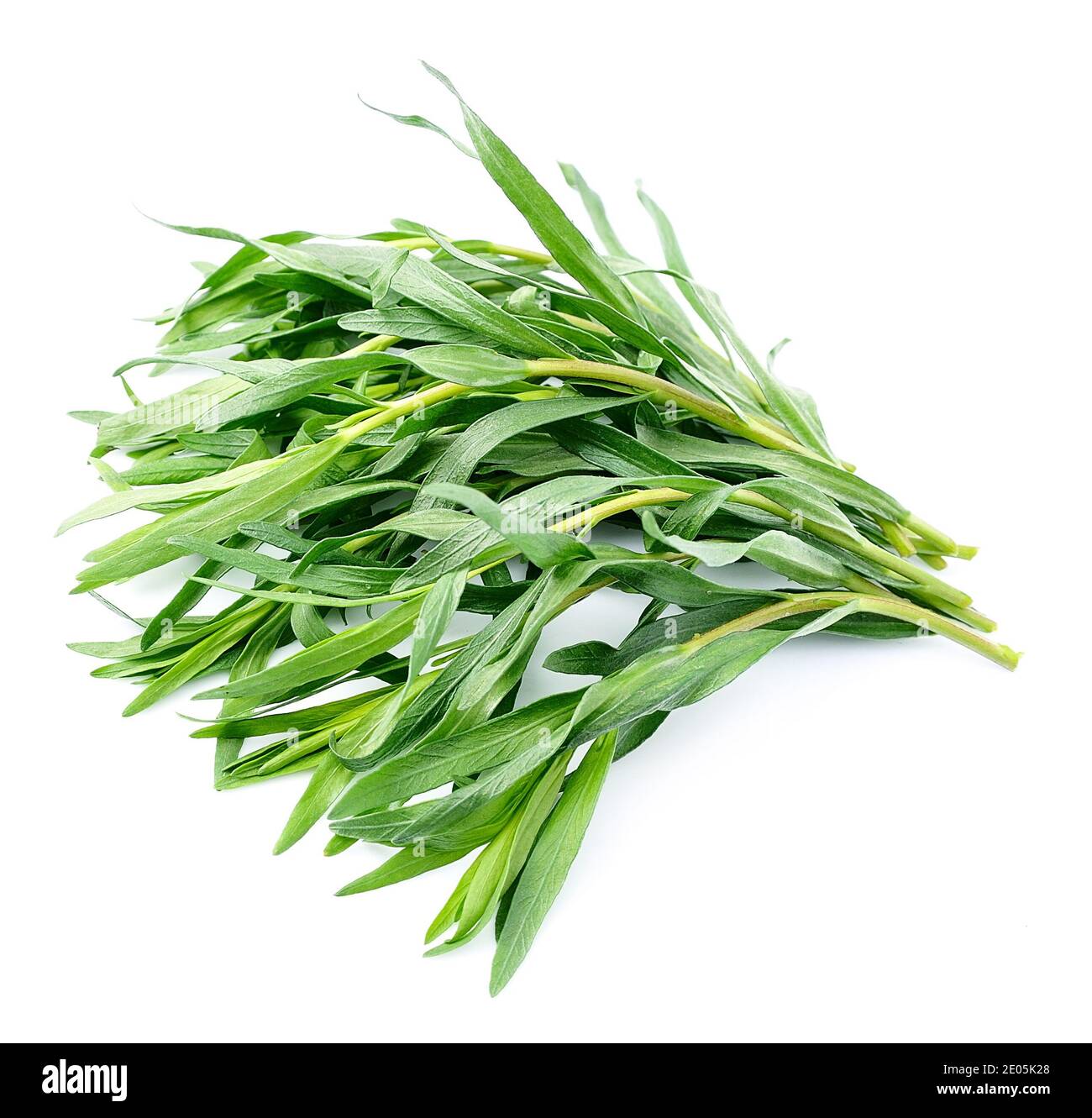 Tarragon leaves Cut Out Stock Images & Pictures - Alamy