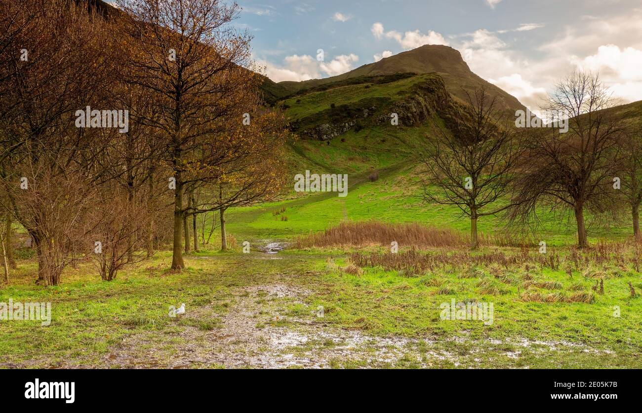 A muddy trail in Arthur Seat in Holyrood Park that can lead up to the ...